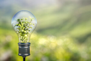 SPB Group European leader in affinity insurance